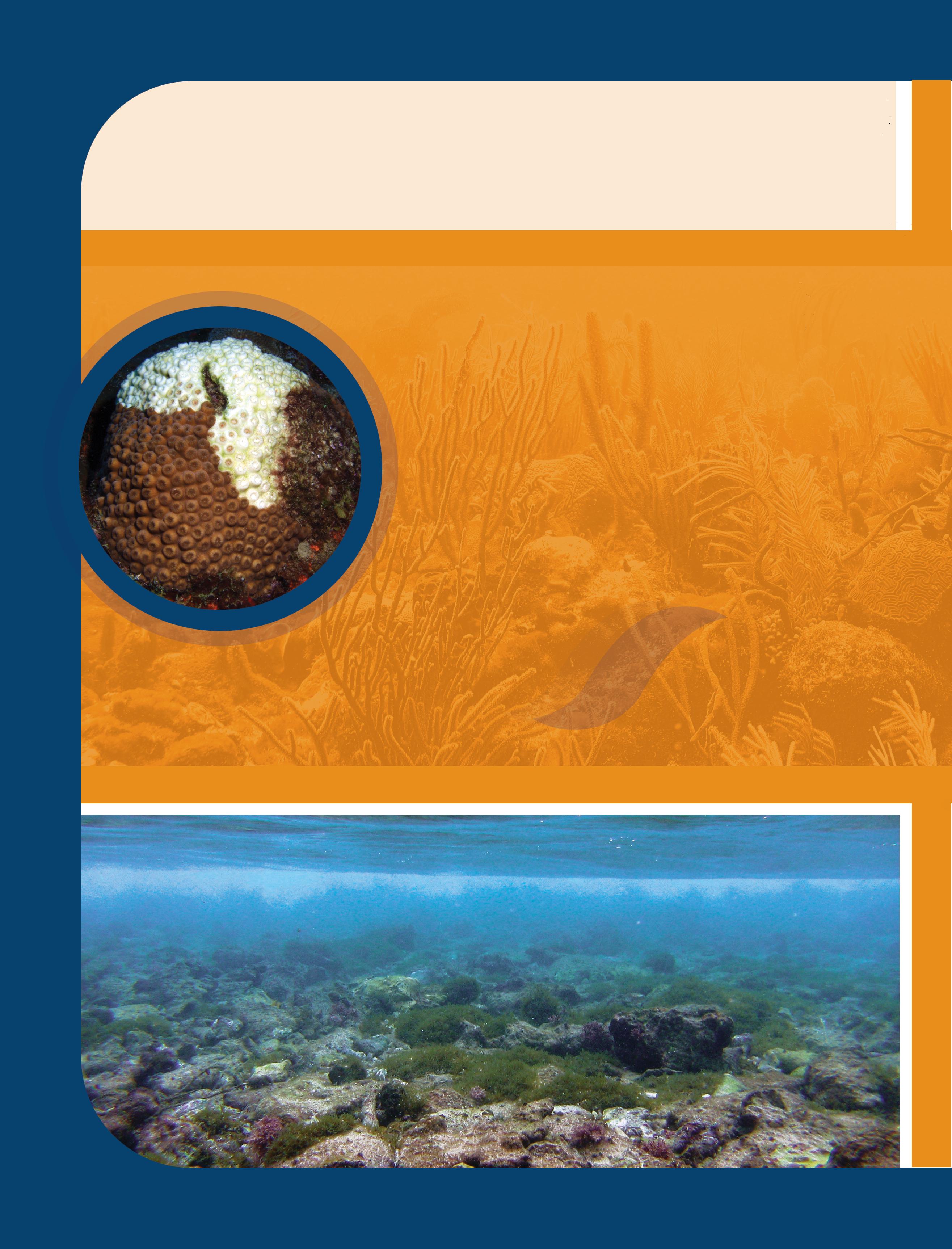 Los Arrecifes de Coral by Puerto Rico Sea Grant - Issuu