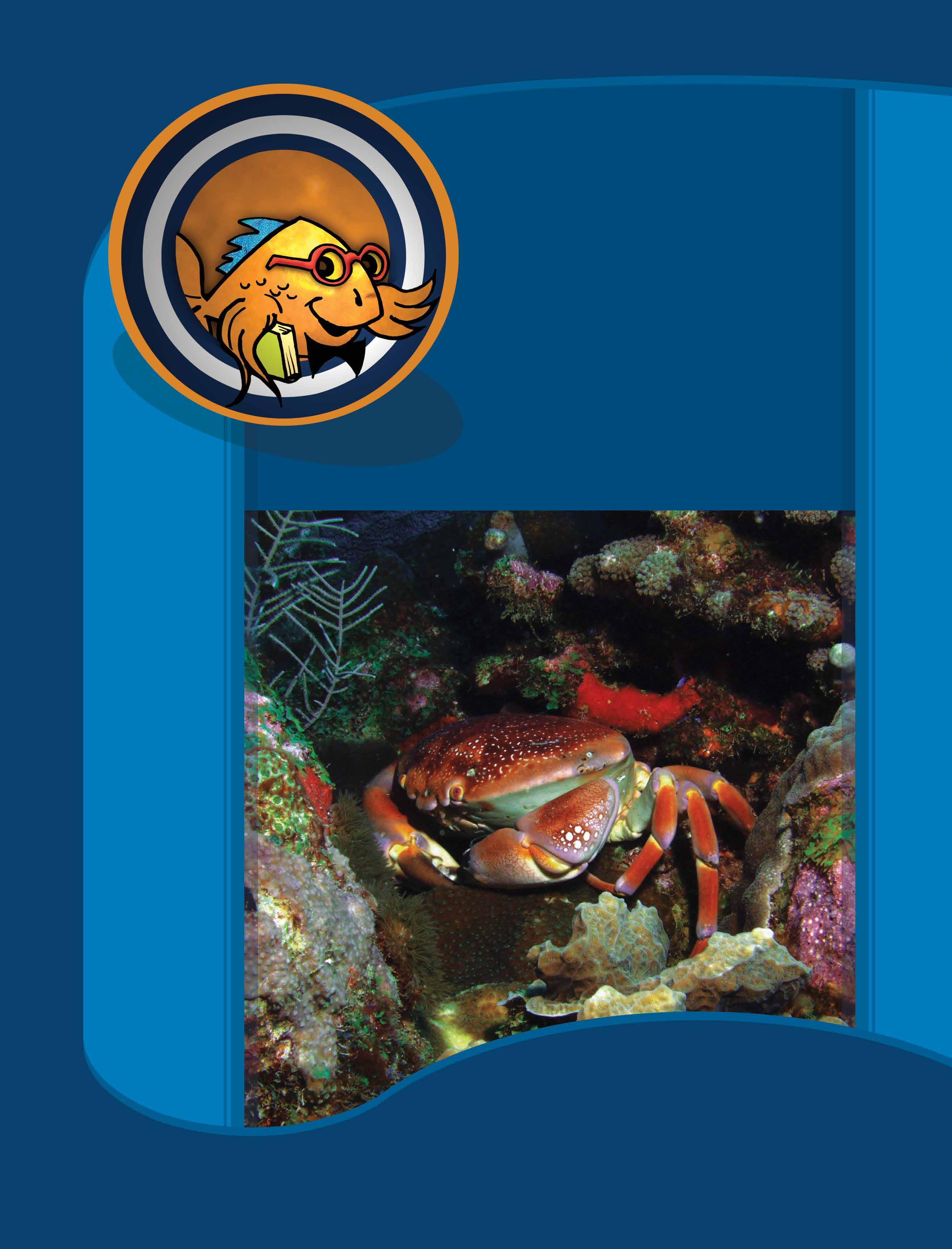 Los Arrecifes de Coral by Puerto Rico Sea Grant - Issuu