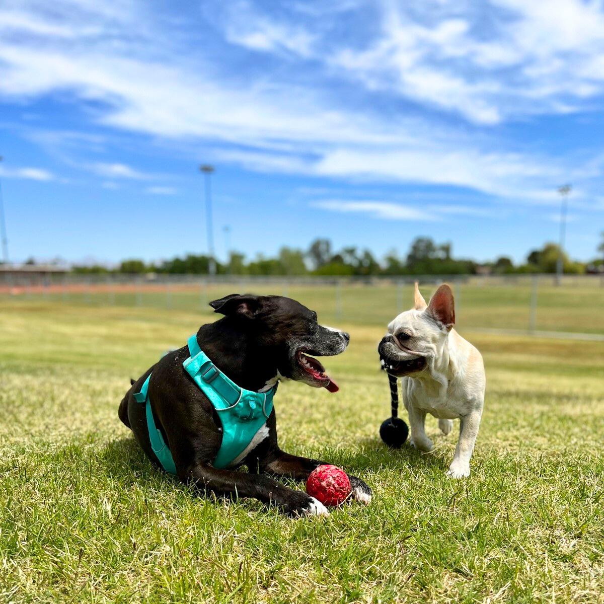 The Squeeze - Issue I by OC Community Resources - Issuu