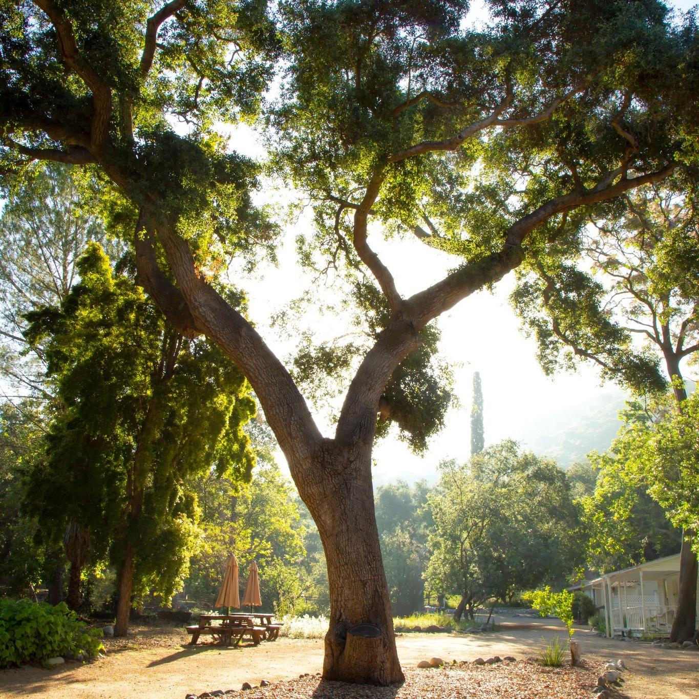 The Squeeze - Issue I by OC Community Resources - Issuu