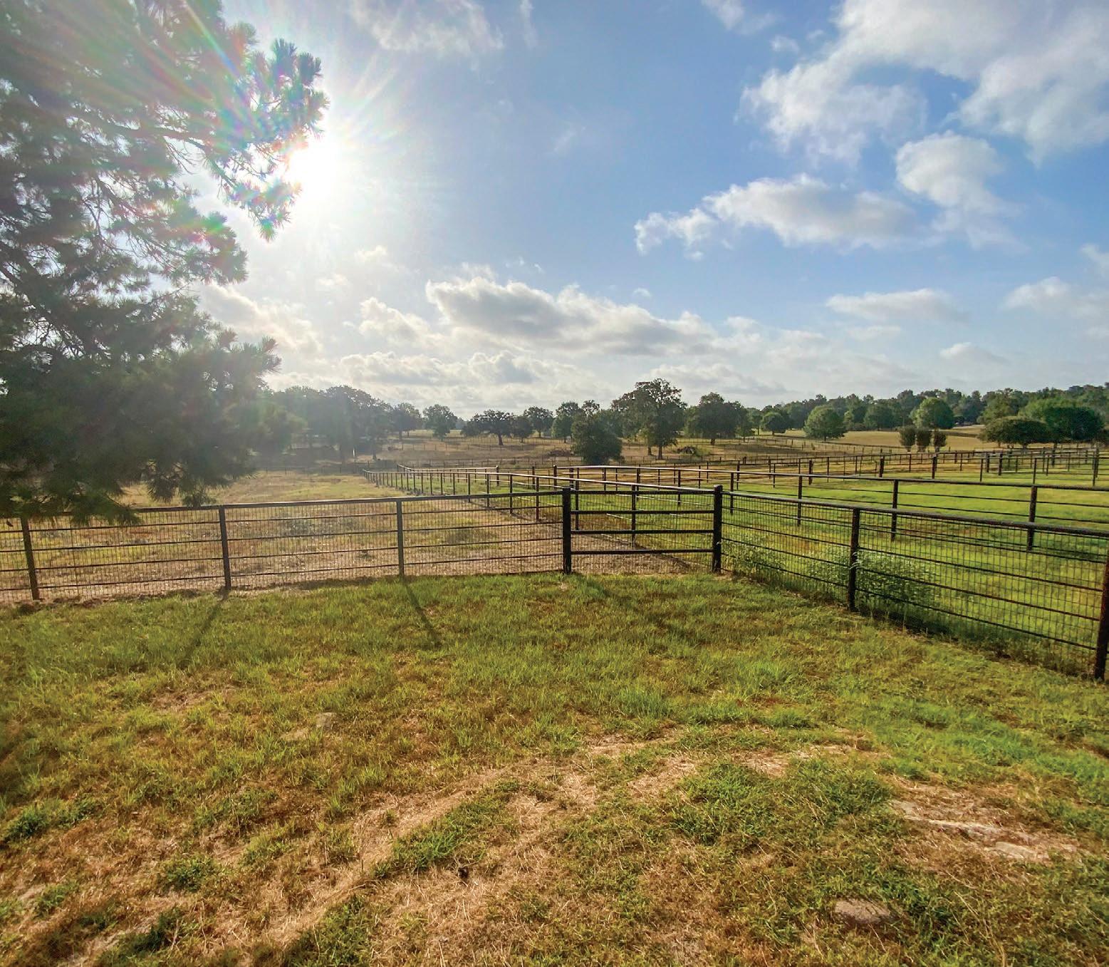 Centerville Horse Training Center by csmandson - Issuu
