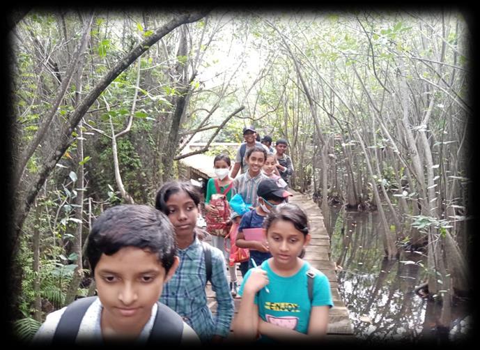 Junior Nature Club Magazine _July 2023 by Nature Club Alethea - Issuu