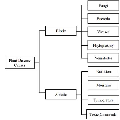 Detection of Plant Diseases Using CNN Architectures by IRJET Journal ...