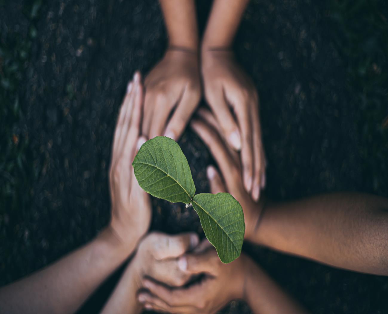 Environmental Business Ideas | Climateaction.africa by Climate Action ...