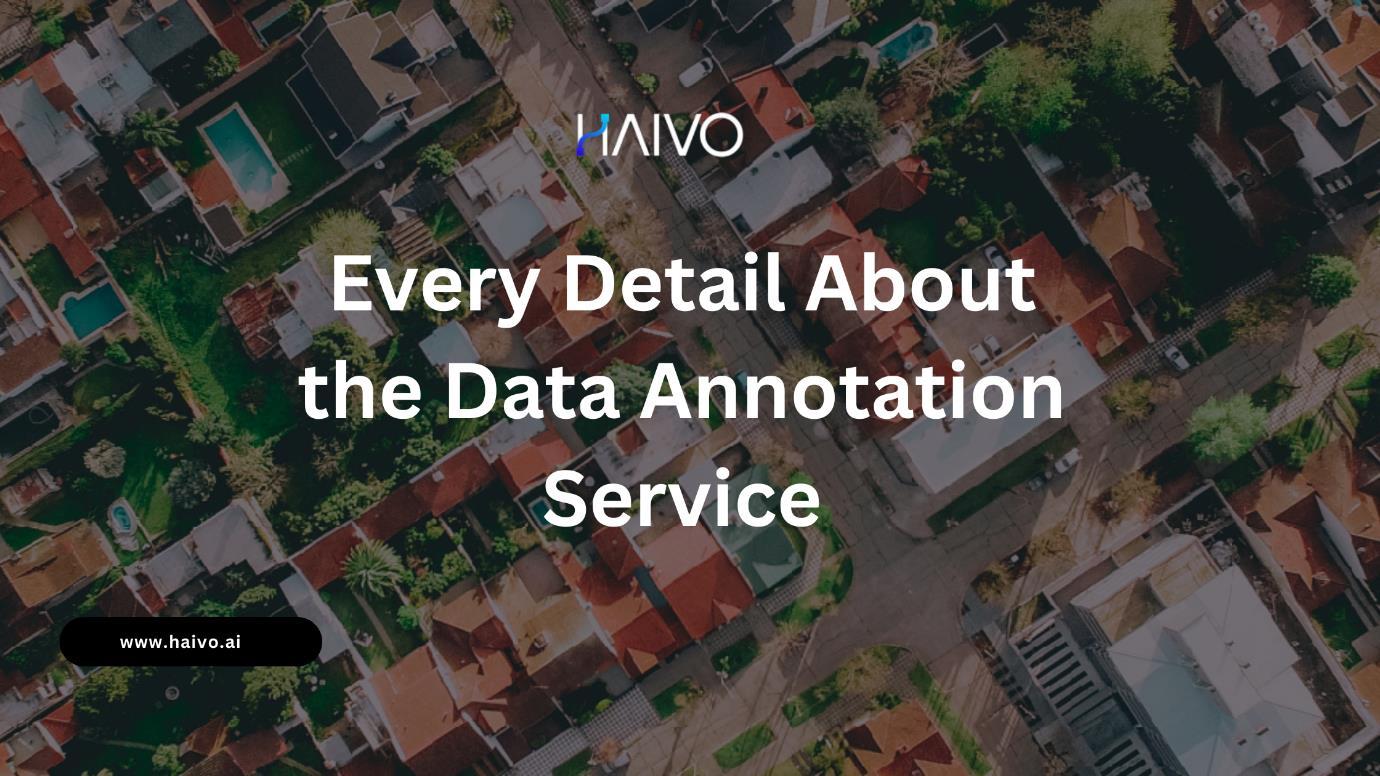 Every Detail About the Data Annotation Service by Haivo Annotation - Issuu