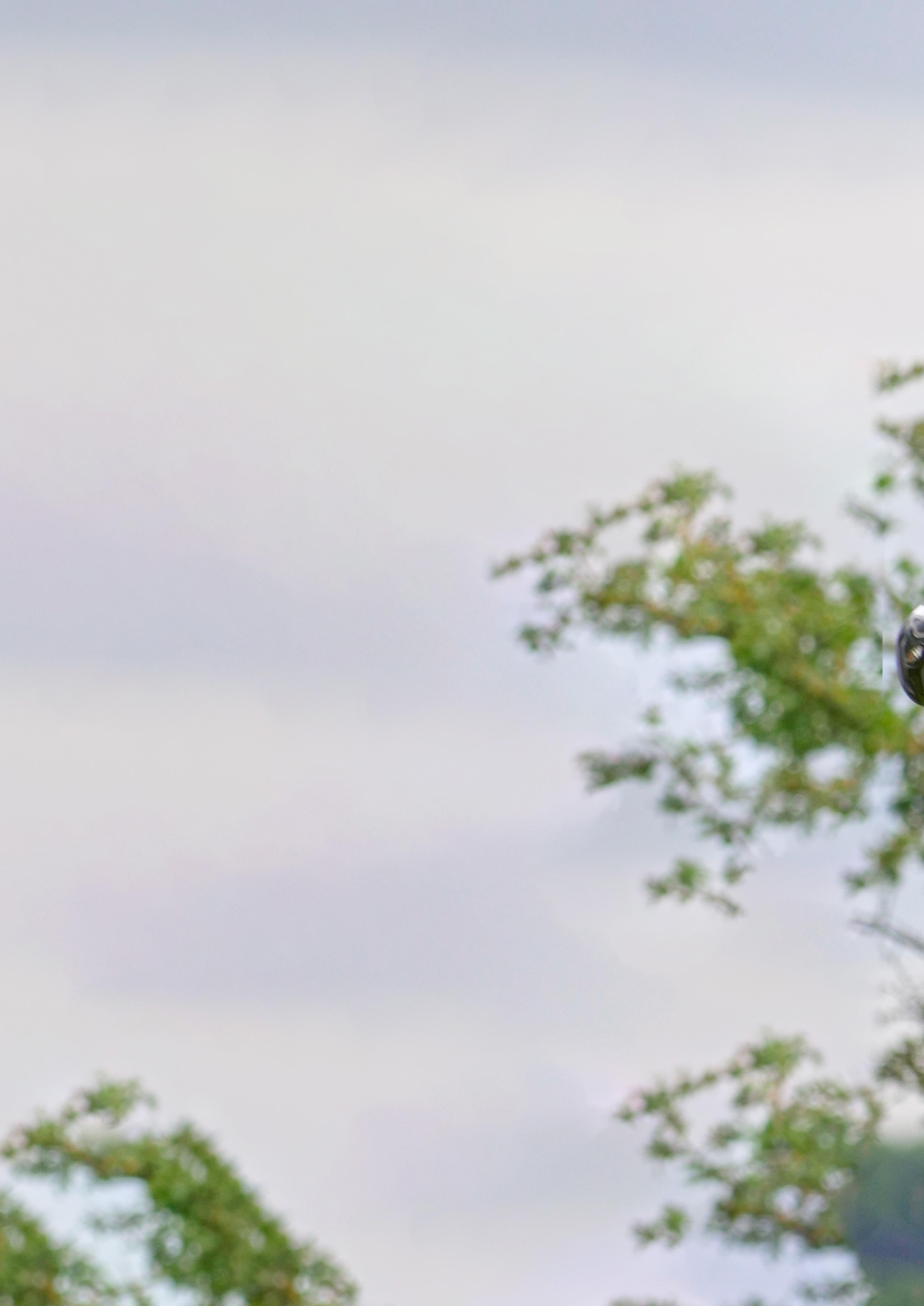 Rossall Golf Academy by Rossall School - Issuu