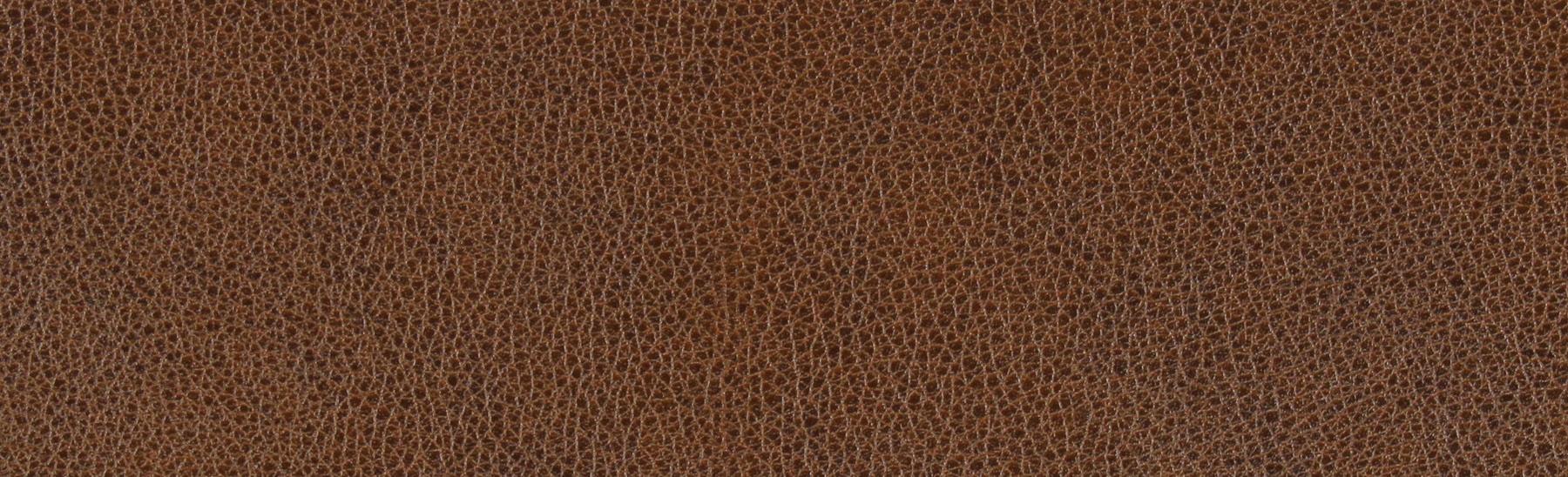 Richloom Contract | Faux Leather Library 2 by Richloom - Issuu