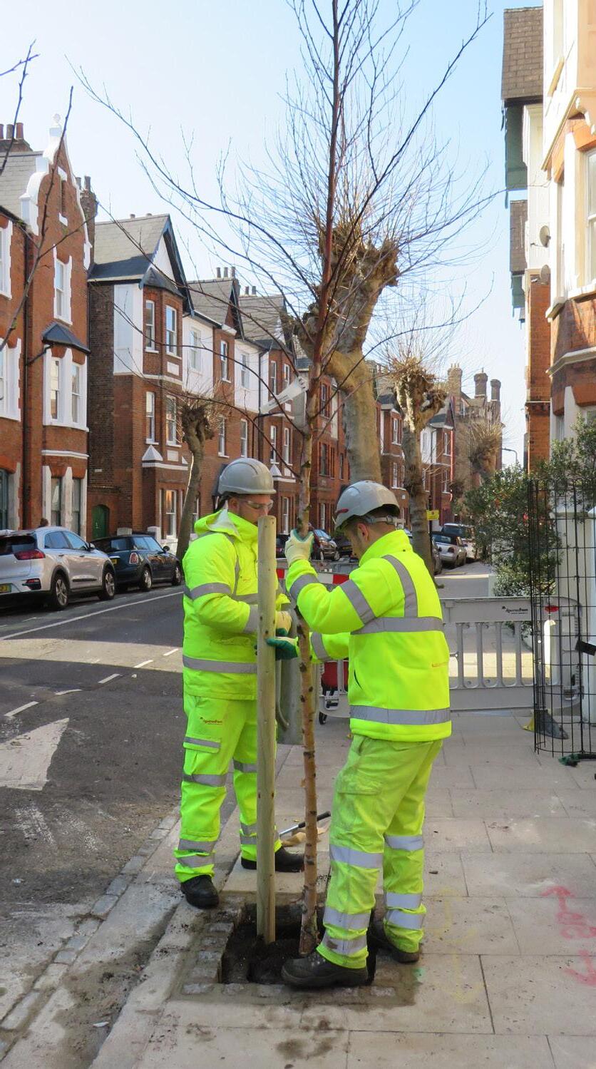 Marlborough Highways News - Summer 2023 by MarlboroughHighways - Issuu