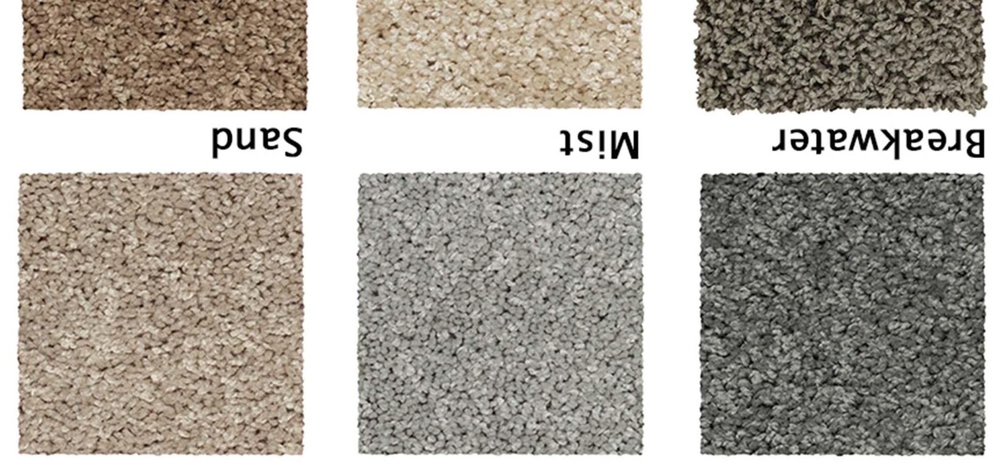 Strattanville - Champion Modular Color Guide - 2023 by ...