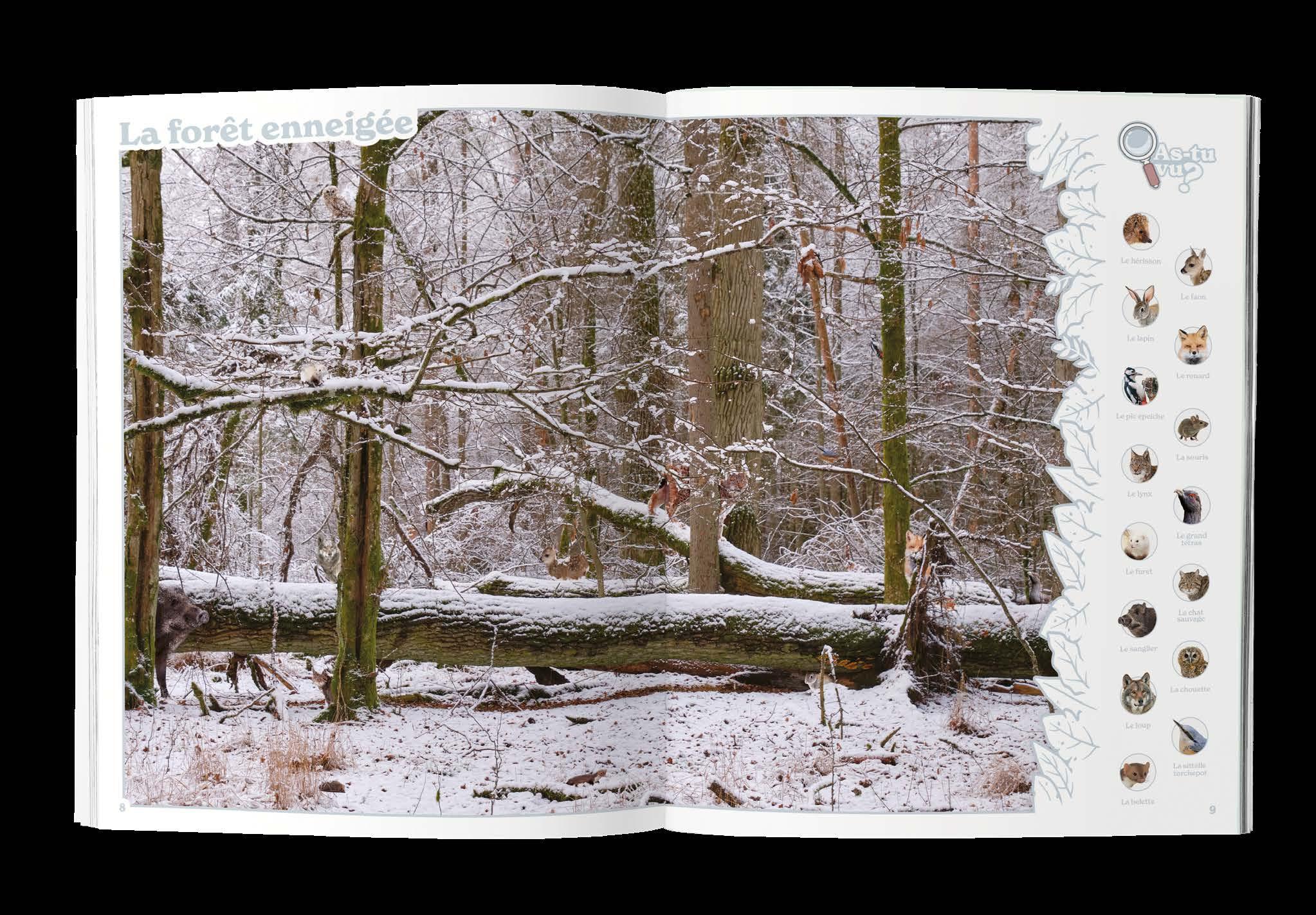 Cherche et trouve en photos Les animaux de la forêt by Fleurus Editions ...