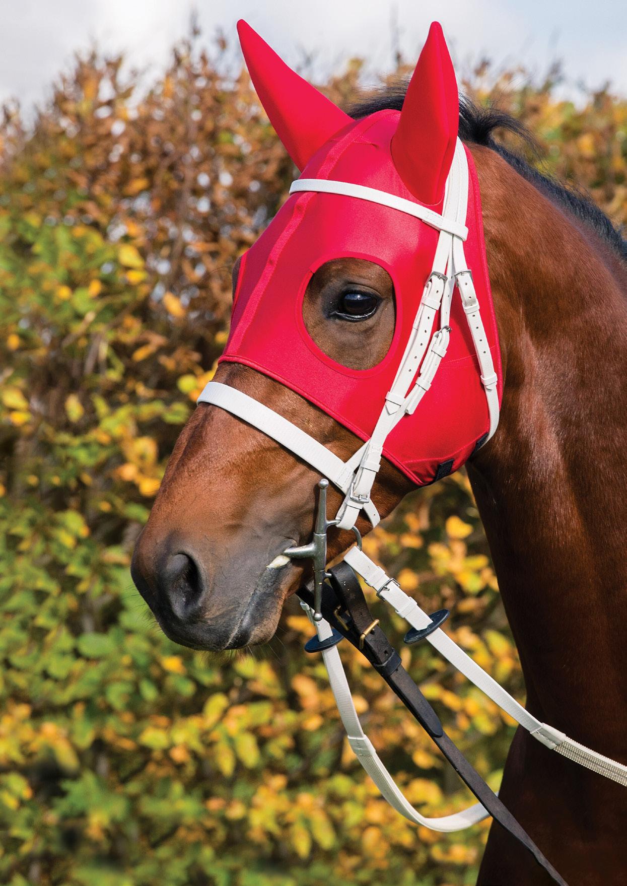 Zilco Racing Catalogue - Vol. 2 (EN) by Zilco - Issuu