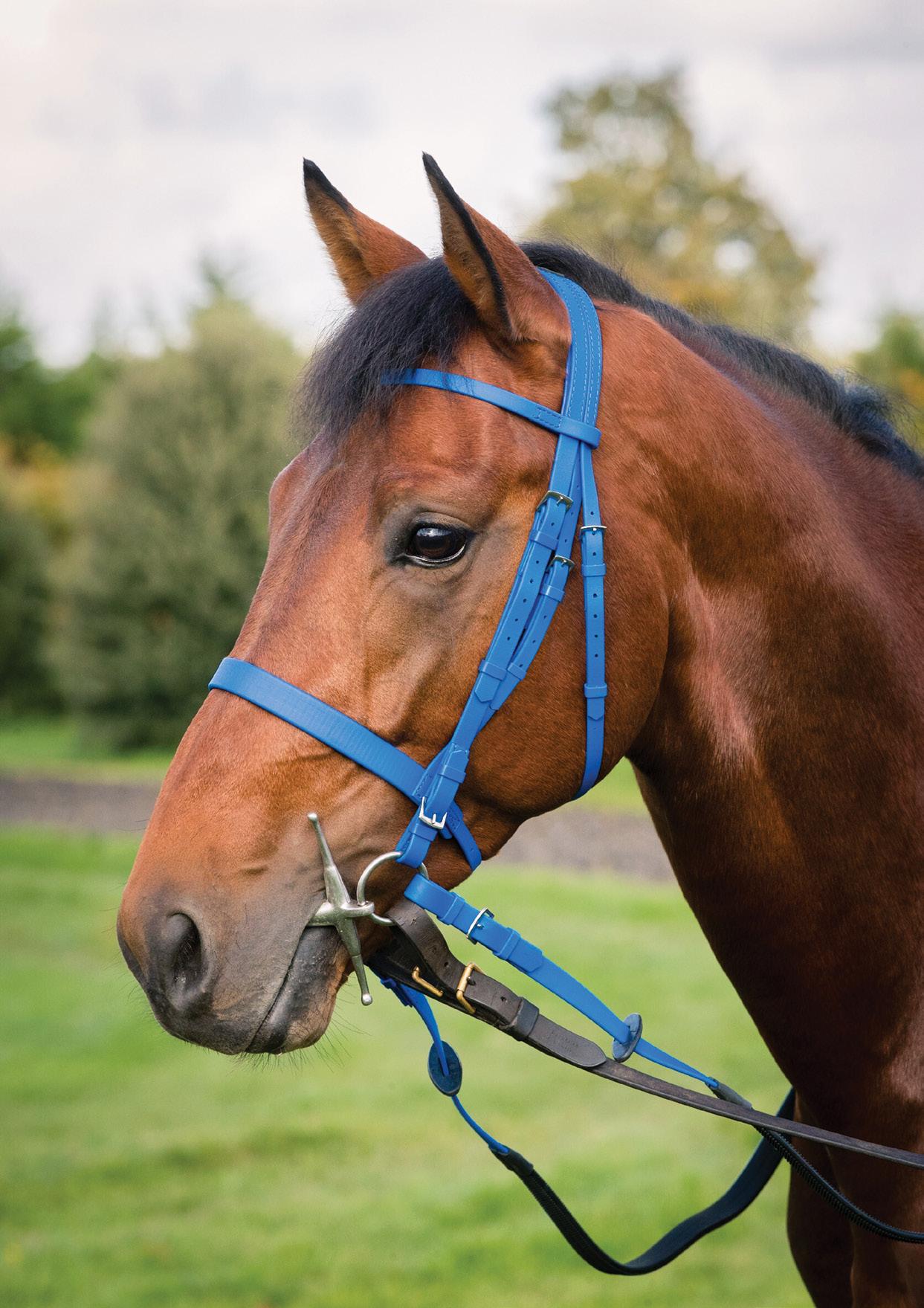 Zilco Racing Catalogue - Vol. 2 (EN) by Zilco - Issuu