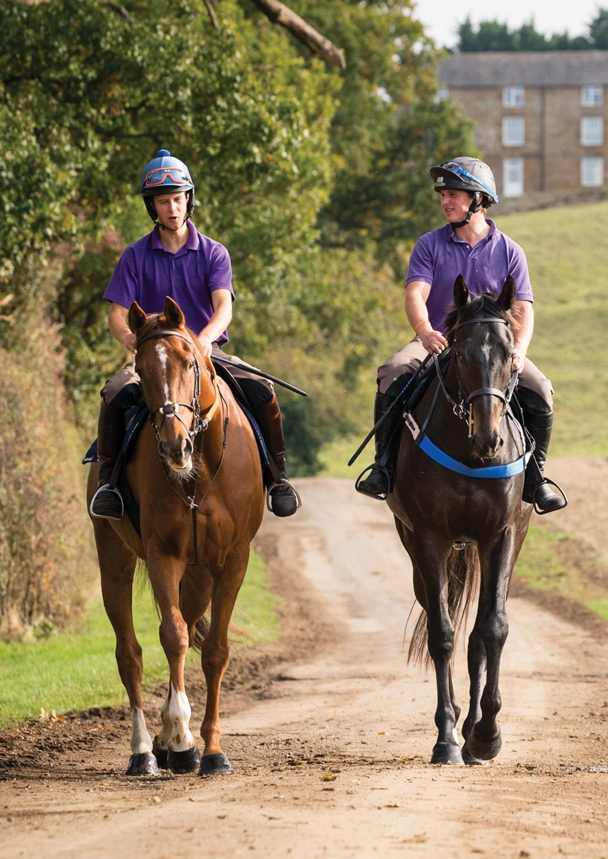 Zilco Racing Catalogue - Vol. 2 (EN) by Zilco - Issuu