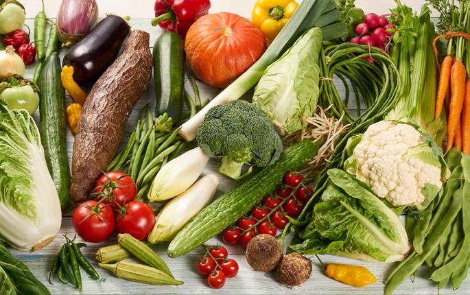 Wheel of Five by Voedingscentrum - Issuu