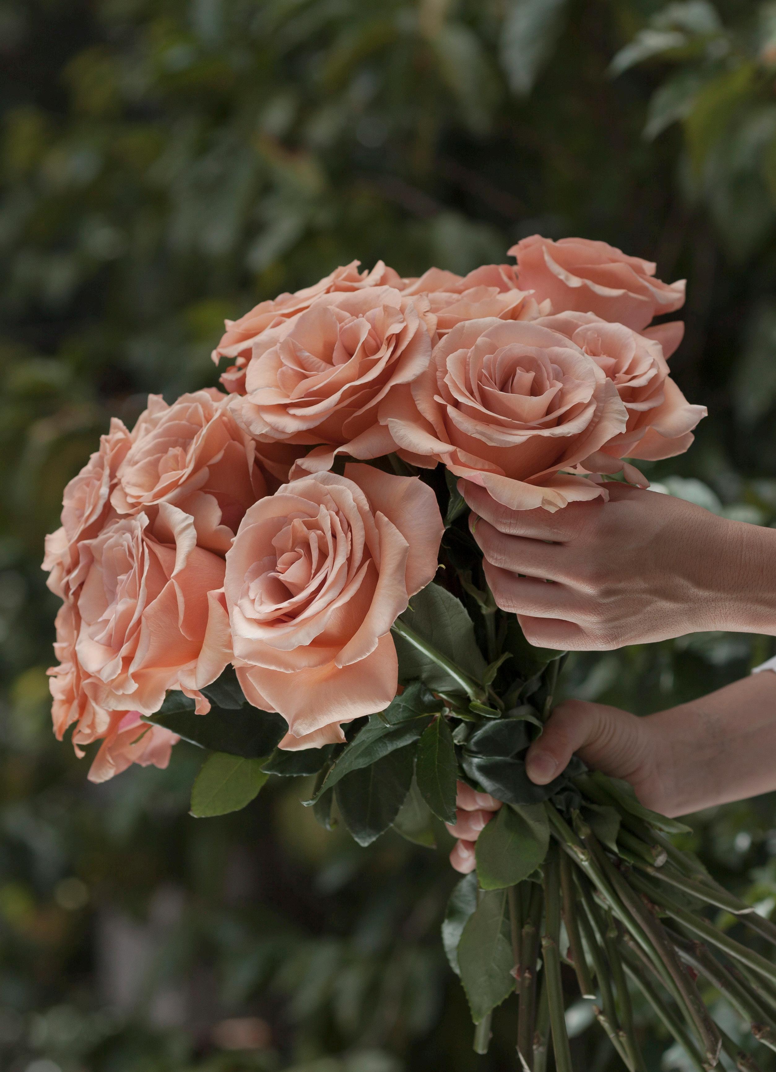 Rosaprima Catalog - 2023 by Rosaprimamkt - Issuu