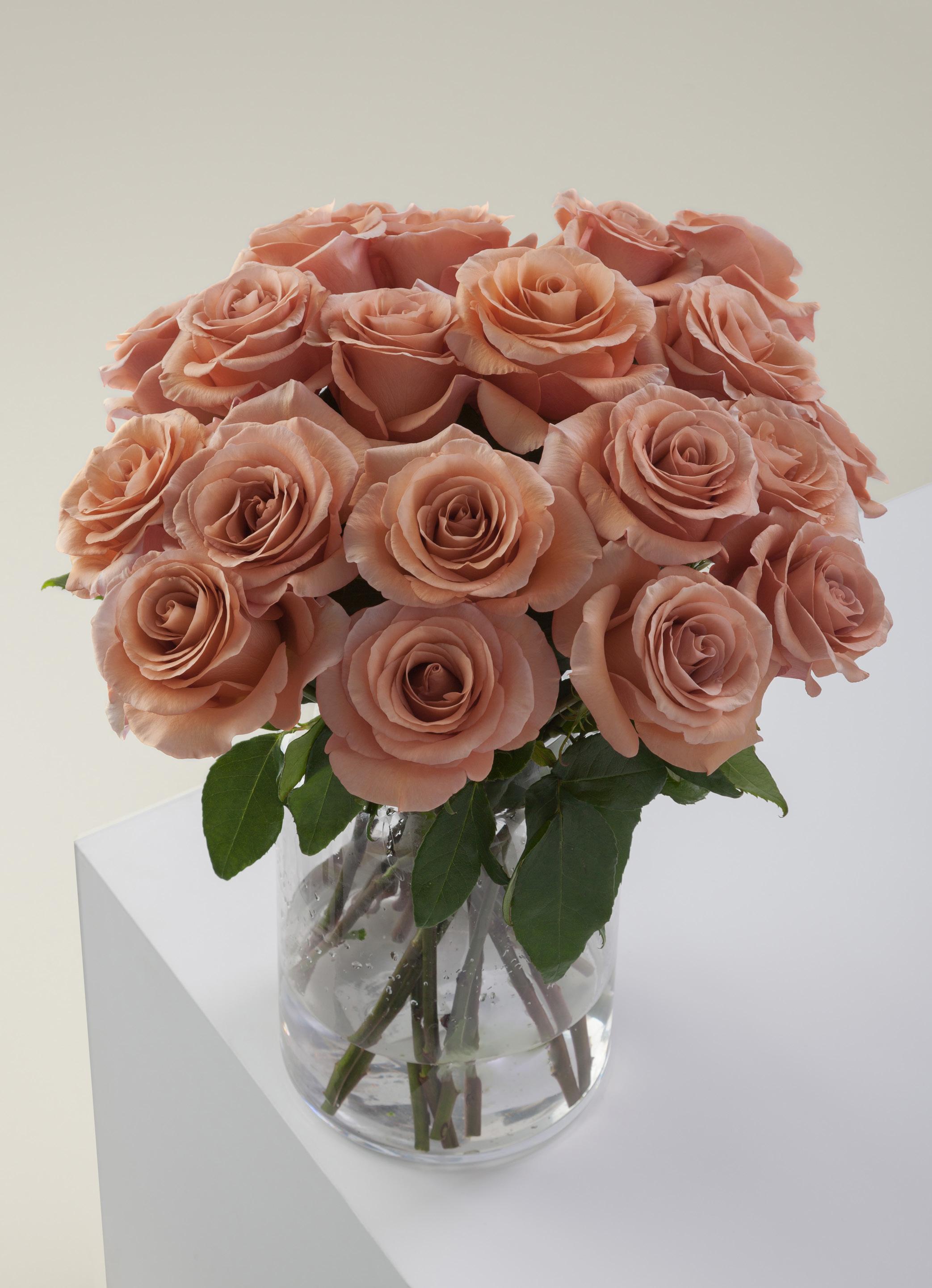 Rosaprima Catalog - 2023 by Rosaprimamkt - Issuu