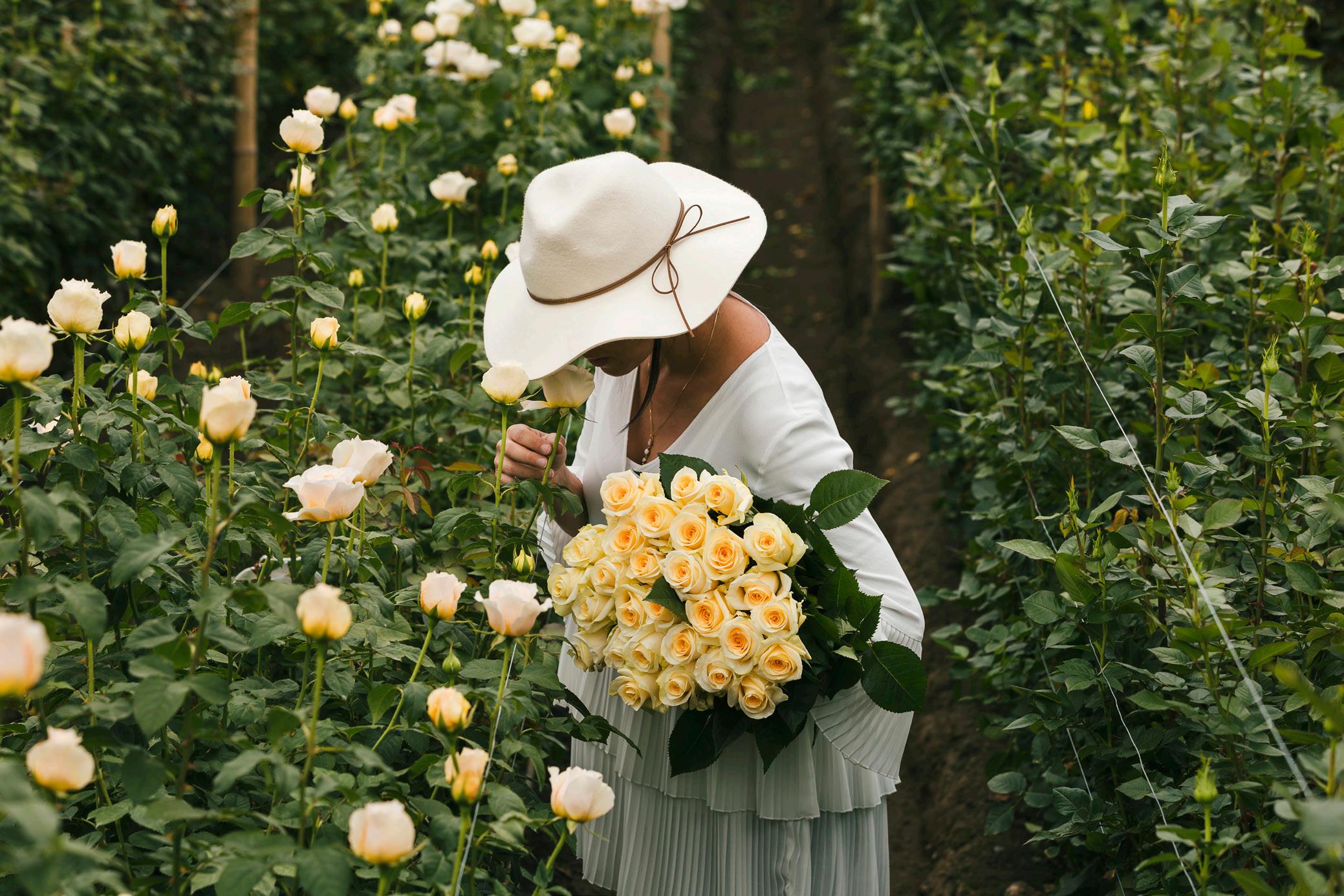 Rosaprima Catalog - 2023 by Rosaprimamkt - Issuu