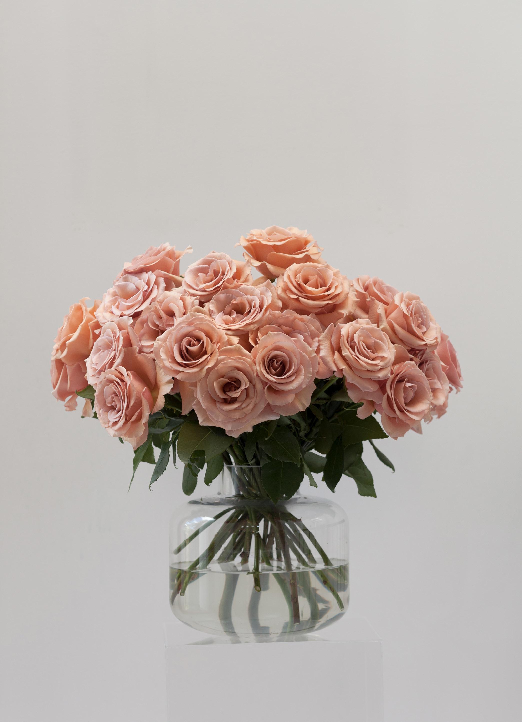 Rosaprima Catalog - 2023 by Rosaprimamkt - Issuu