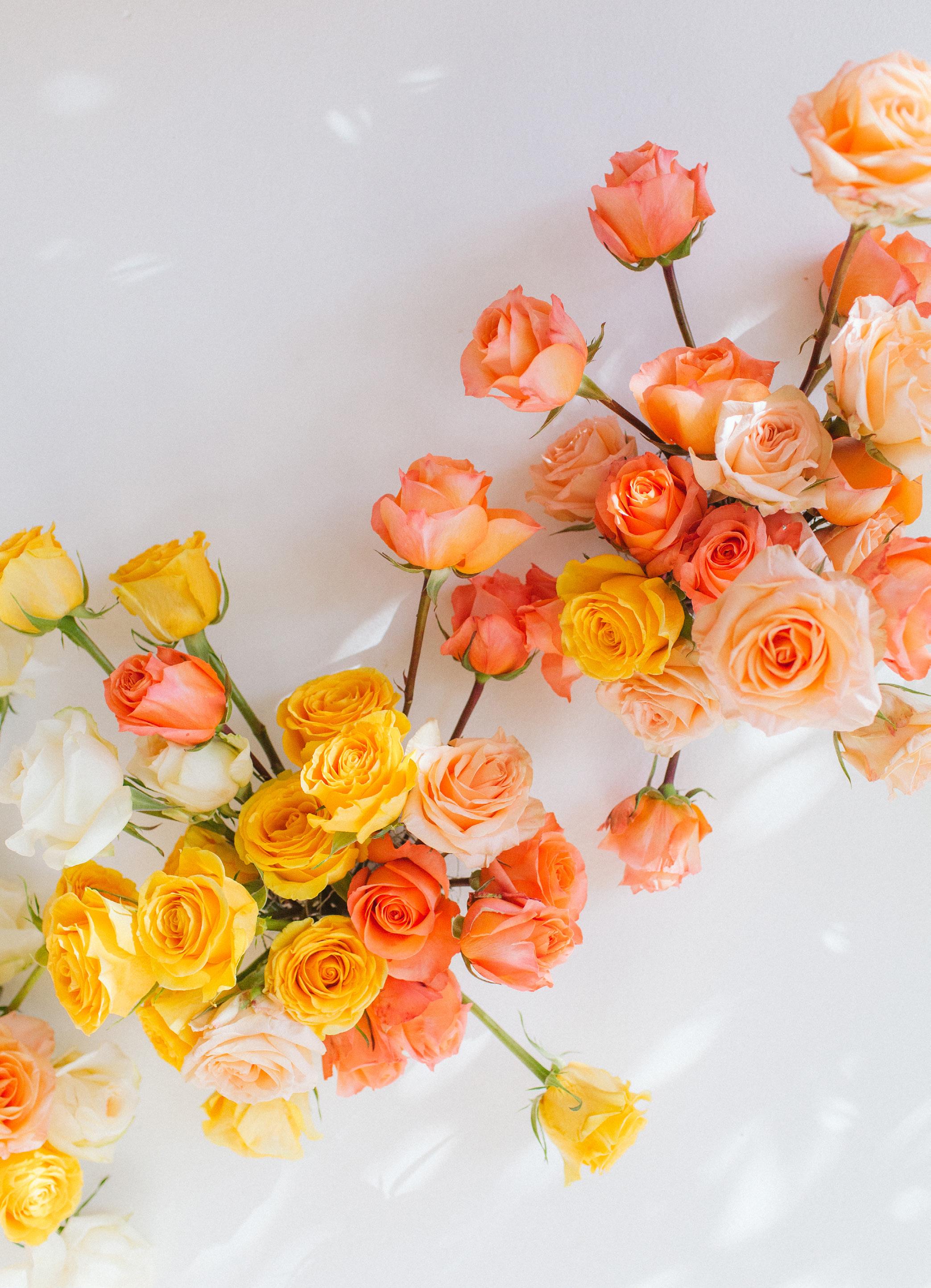 Rosaprima Catalog - 2023 by Rosaprimamkt - Issuu