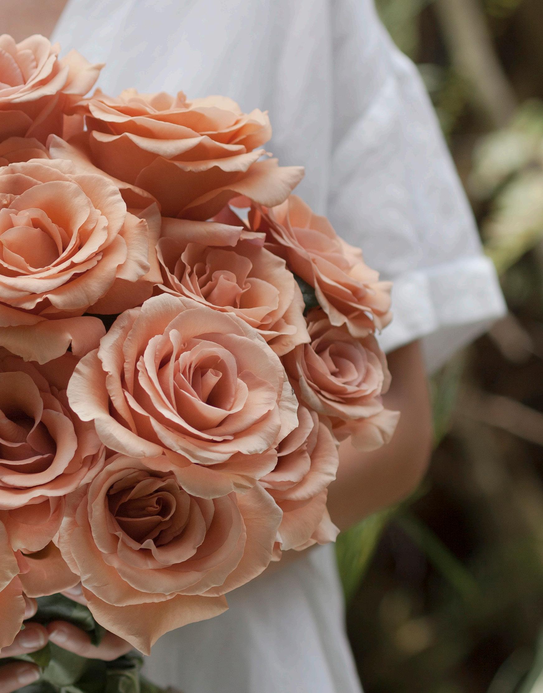 Rosaprima Catalog - 2023 by Rosaprimamkt - Issuu