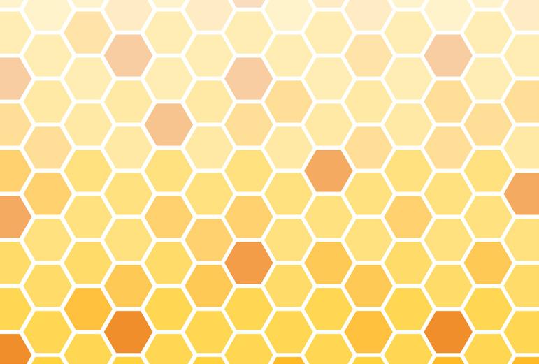 2024 Predesigned Yearbook Themes by Lifetouch - Issuu