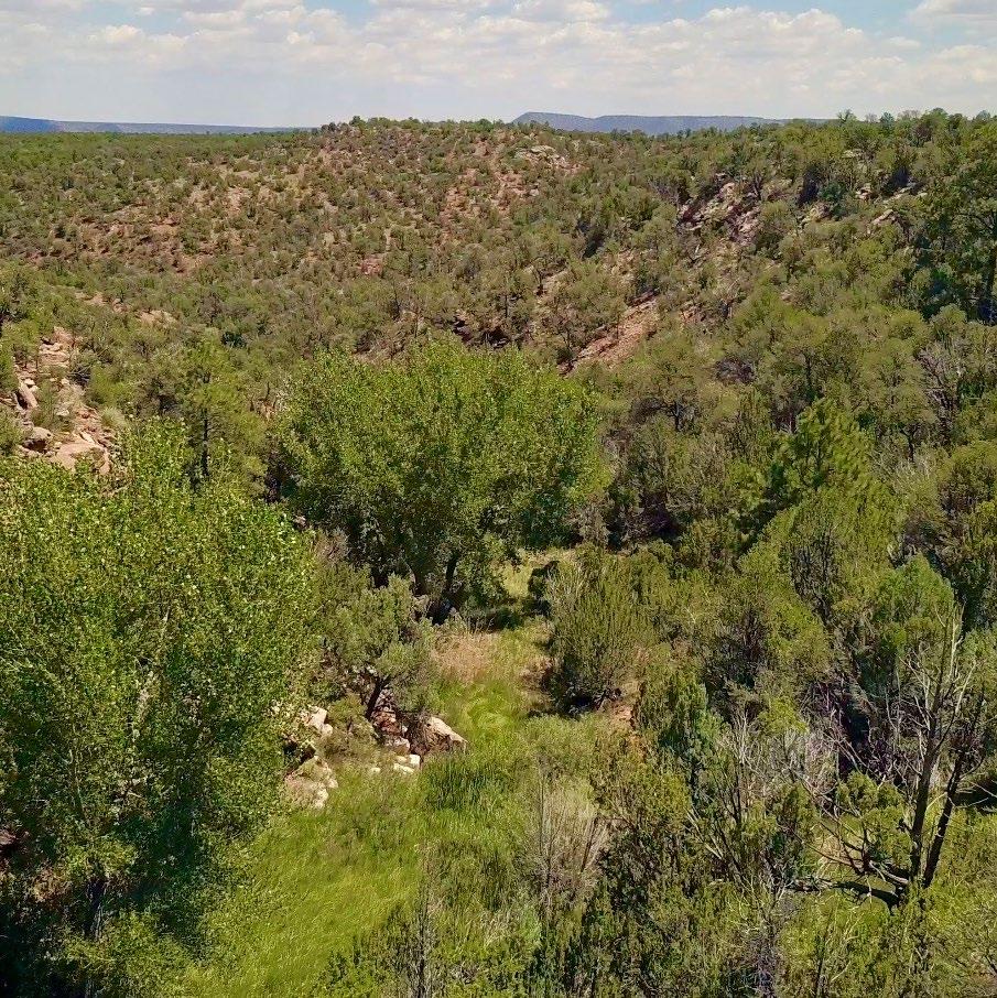 Mesa Springs Ranch | Fay Ranches by Fay Ranches - Issuu