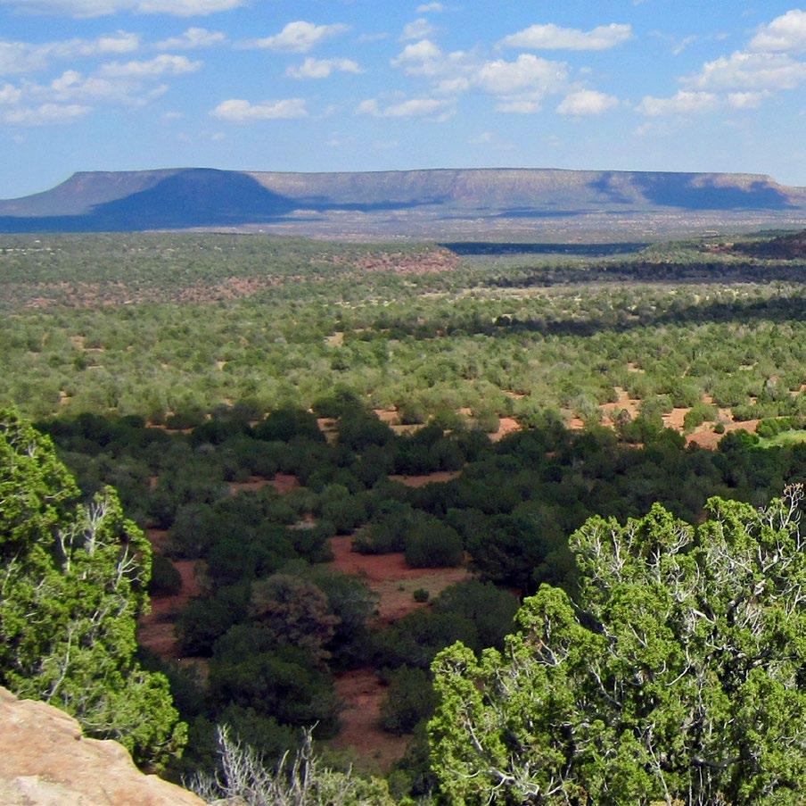 Mesa Springs Ranch | Fay Ranches by Fay Ranches - Issuu