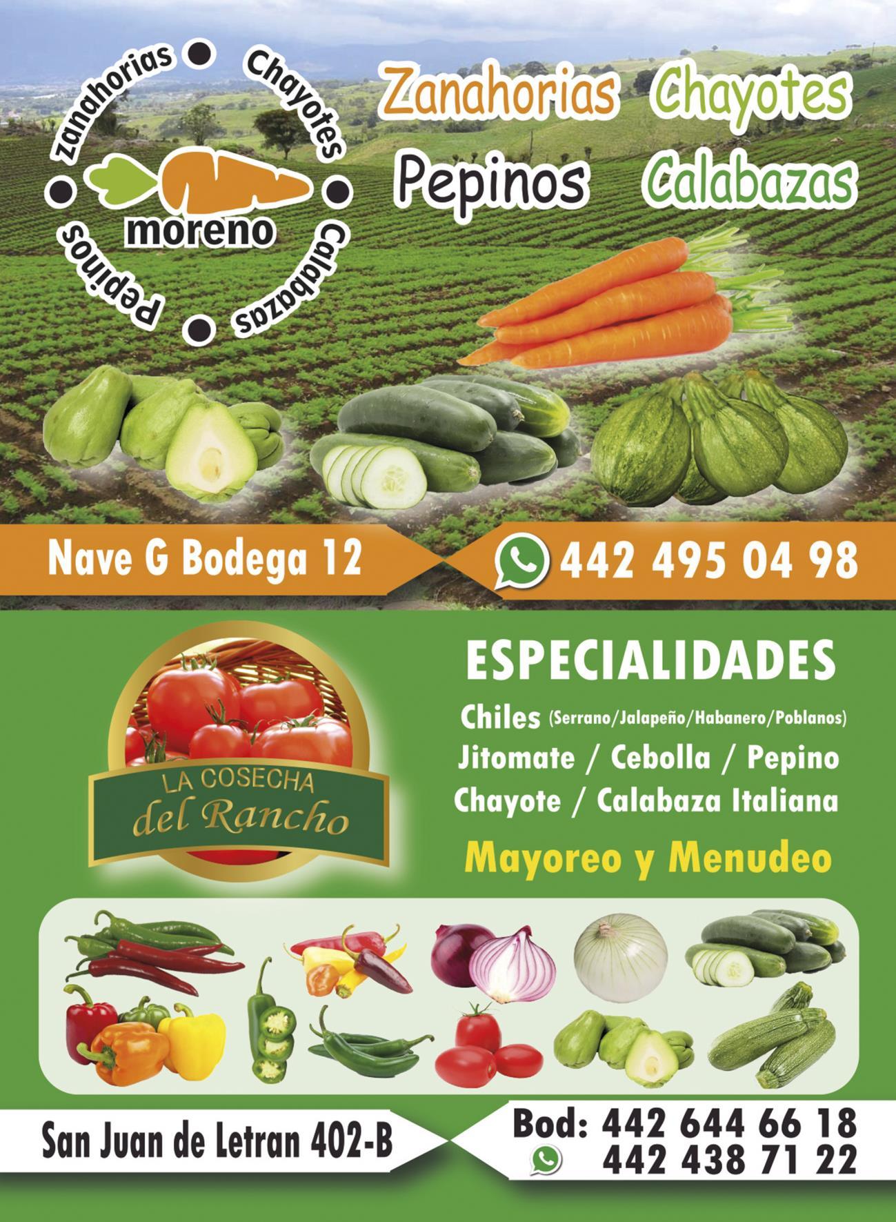 Central de Abasto Querétaro by Directorioscomerciales - Issuu