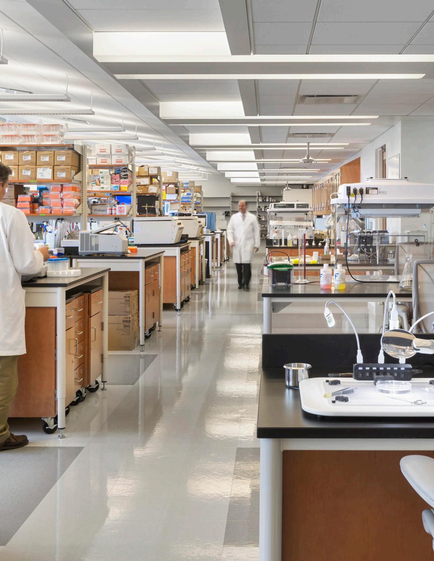 Medical Laboratory Interior Design