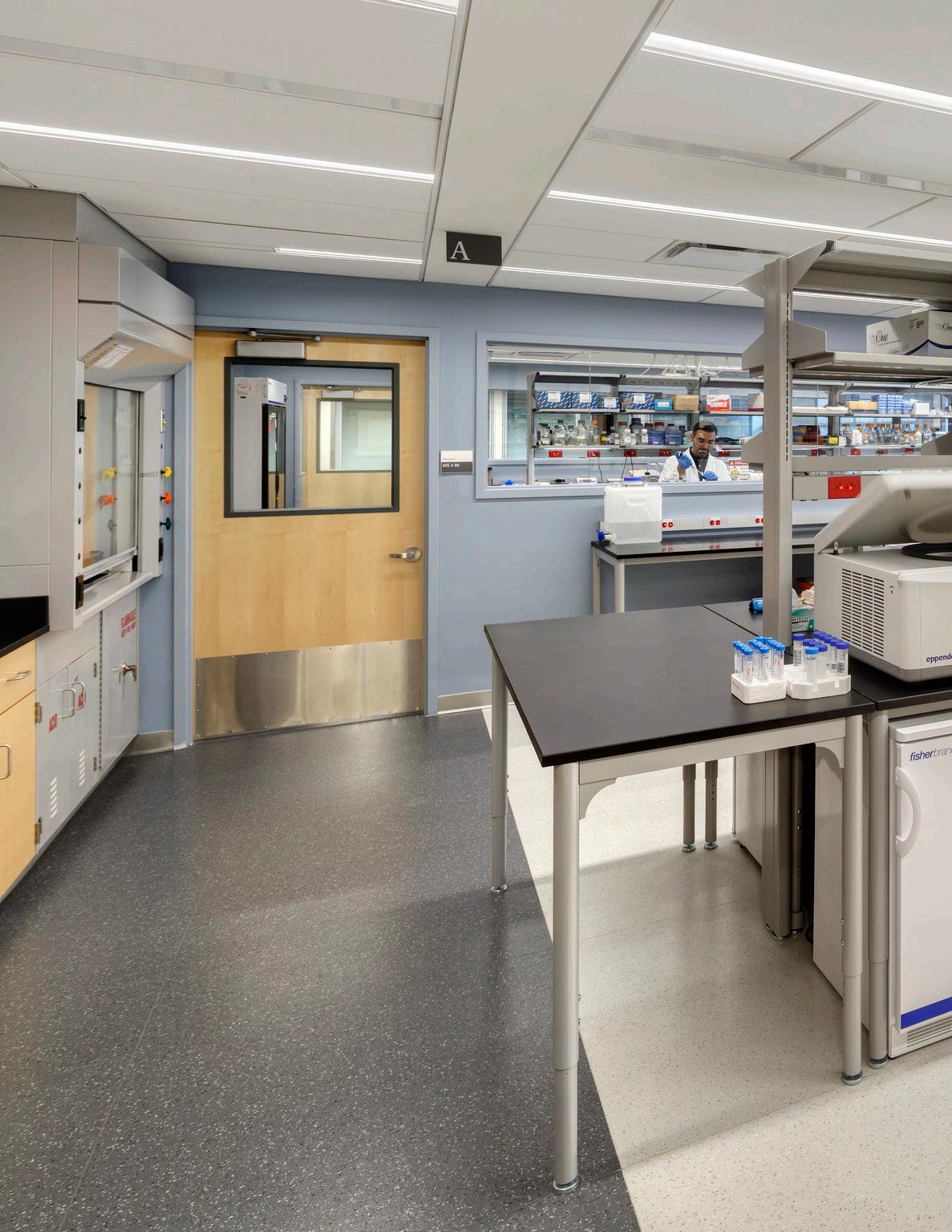 Perkins Eastman: Clinical & Diagnostic Laboratories Brochure by Perkins ...