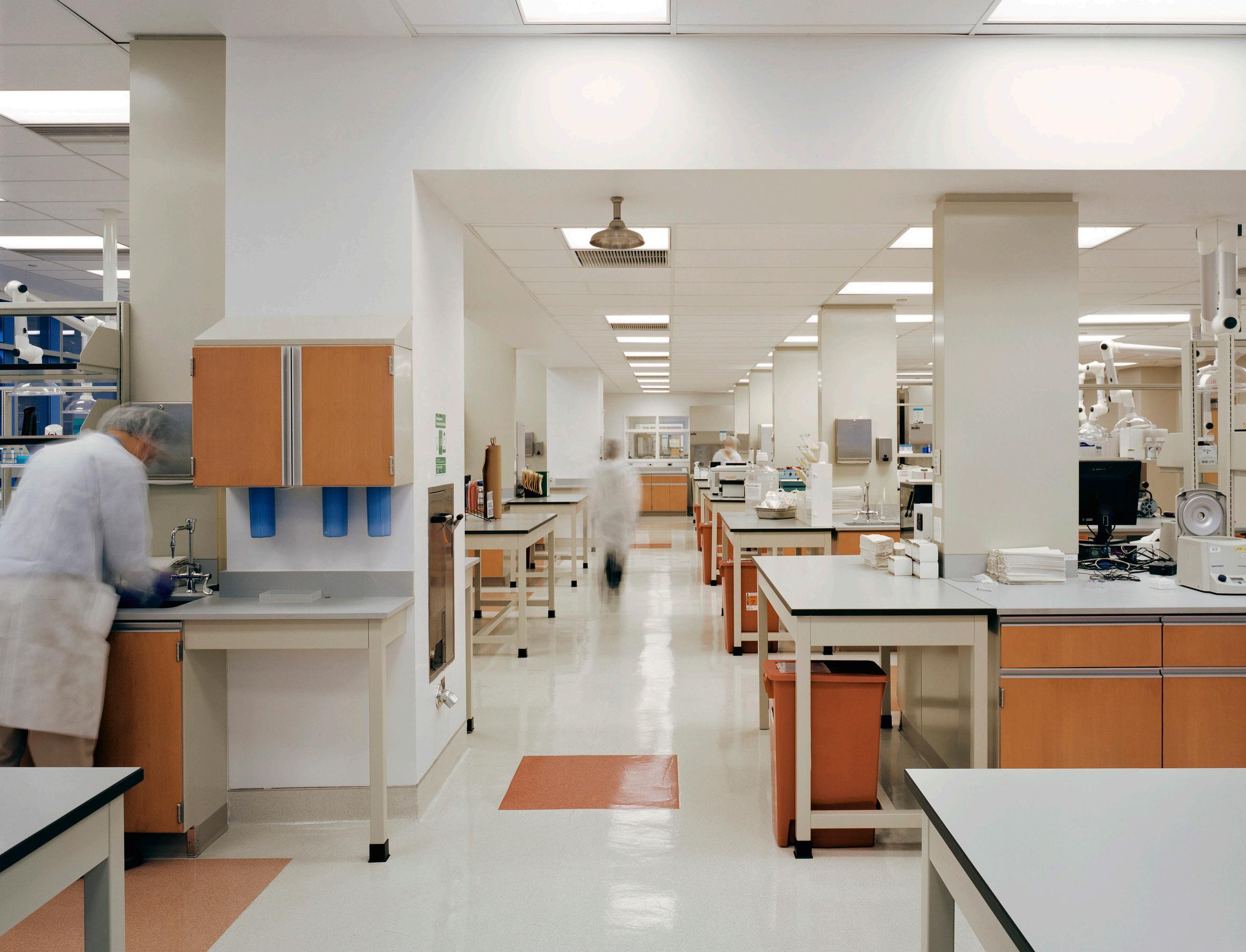 Perkins Eastman: Clinical & Diagnostic Laboratories Brochure by Perkins ...