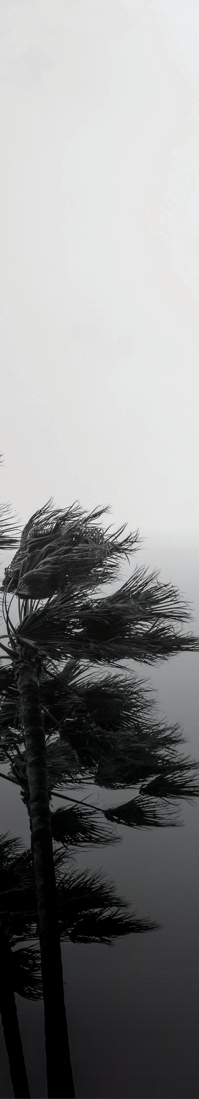 2023-2024 IRSC Student Handbook by Indian River State College - Issuu