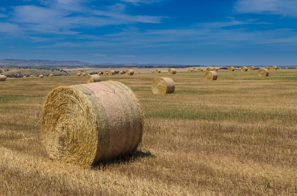 OUR BEST OFFER OF TRACTOR REPLACEMENT PARTS by Isabelle Gagné - Issuu