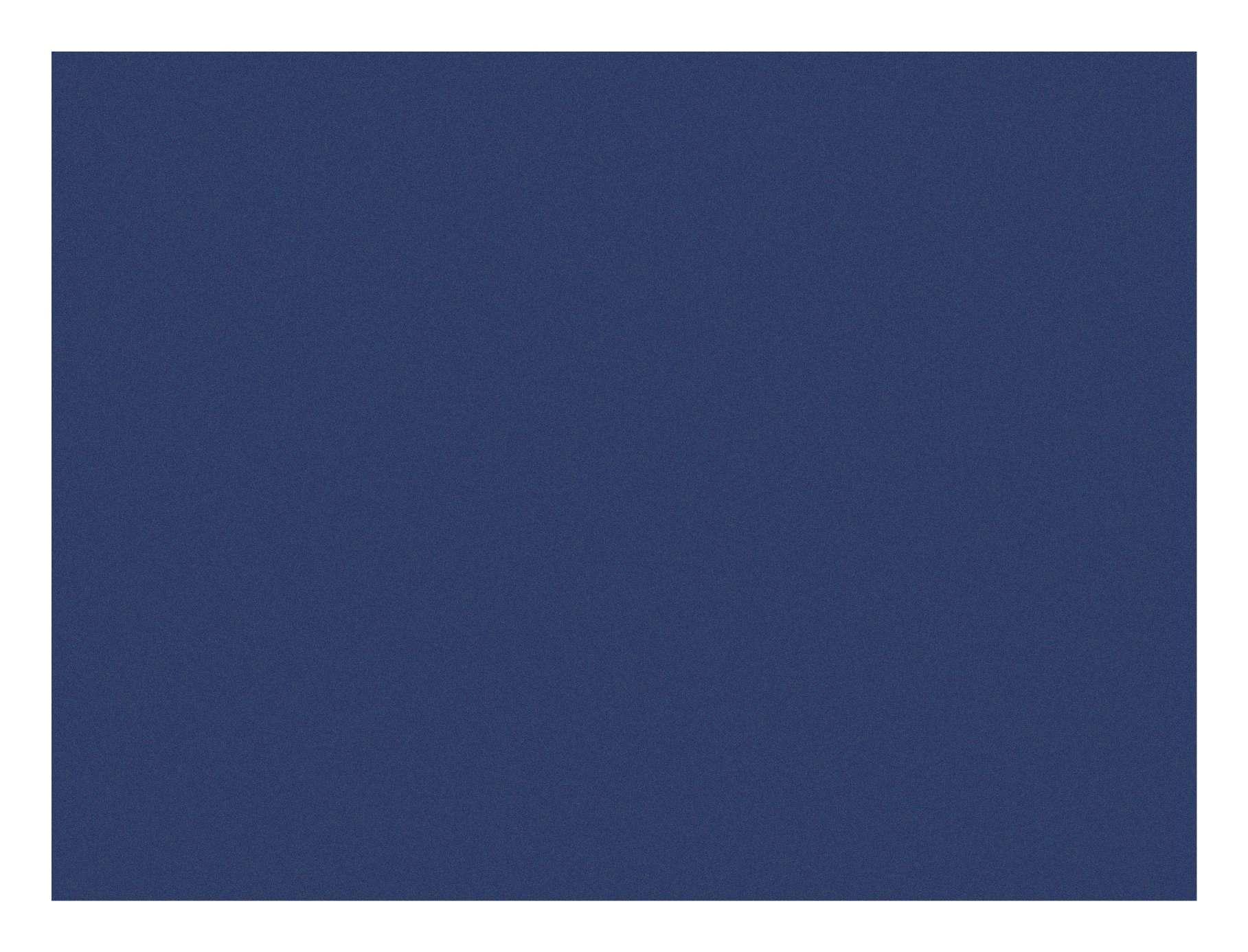 MANUAL CORPORATIVO "REBRANDING POLITÉCNICO MARIA DE LA ALTAGRACIA" by ...