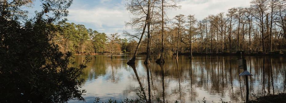 All About Sumter by The Sumter Item - Issuu