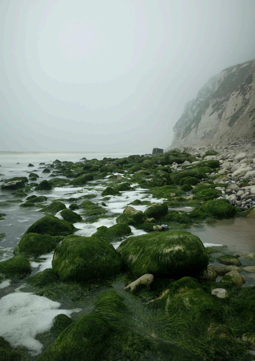 Miami Milk streetwear takeaway by MIAMI MILK - Issuu