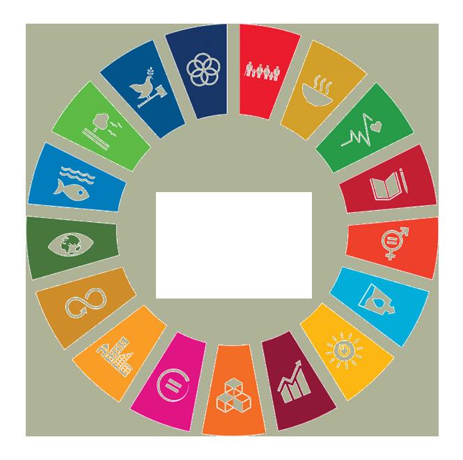 Participatory SDG mapping: VU studies & SDG 13 by Shalini Rao - Issuu
