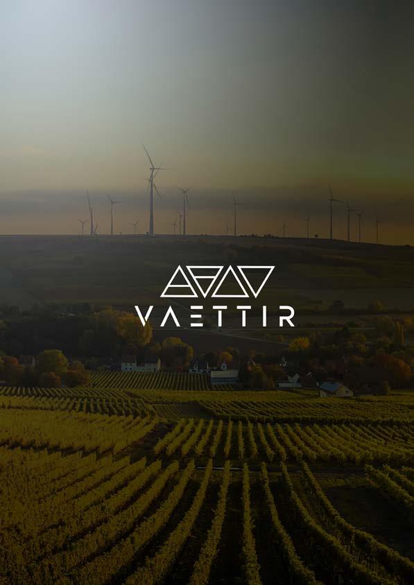 Catálogo Vaettir by Sarai Sánchez Rodríguez - Issuu