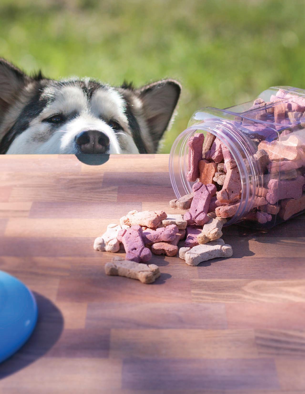 Amcor Rigid Packaging - Food Stock Catalog by Amcor - Issuu