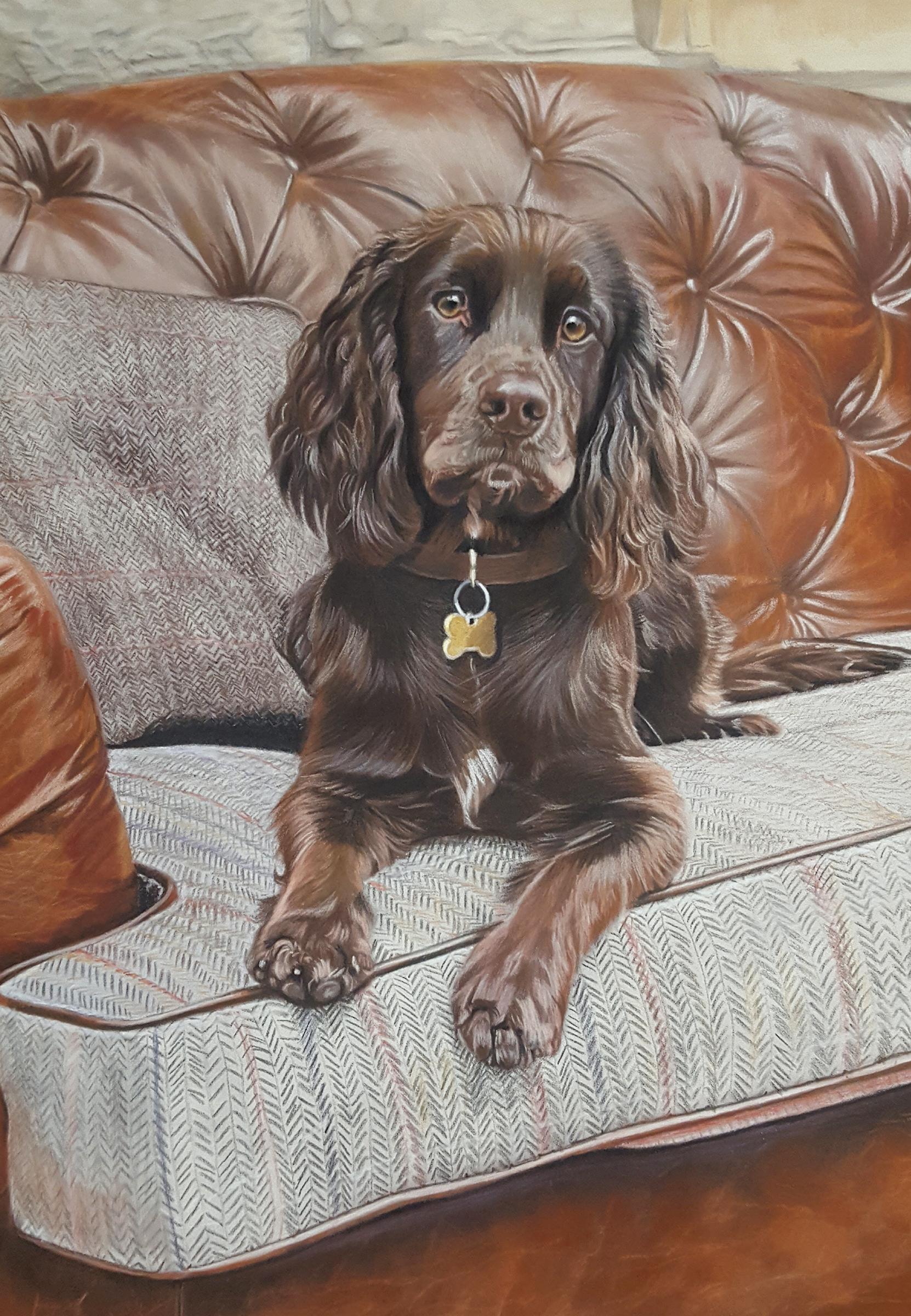 Sarah Perry 2nd Place Winner - Issuu