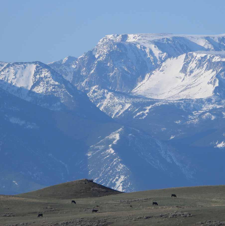 OFF THE MARKET: Beartooth Overlook | Fay Ranches by Fay Ranches - Issuu