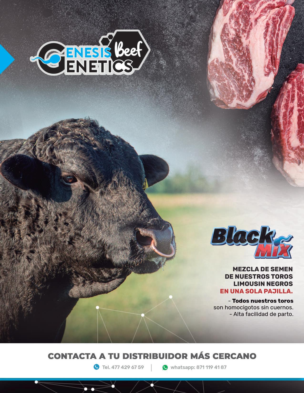 Catálogo Genesis Genetics Agosto 2023 by GenesisGenetic - Issuu