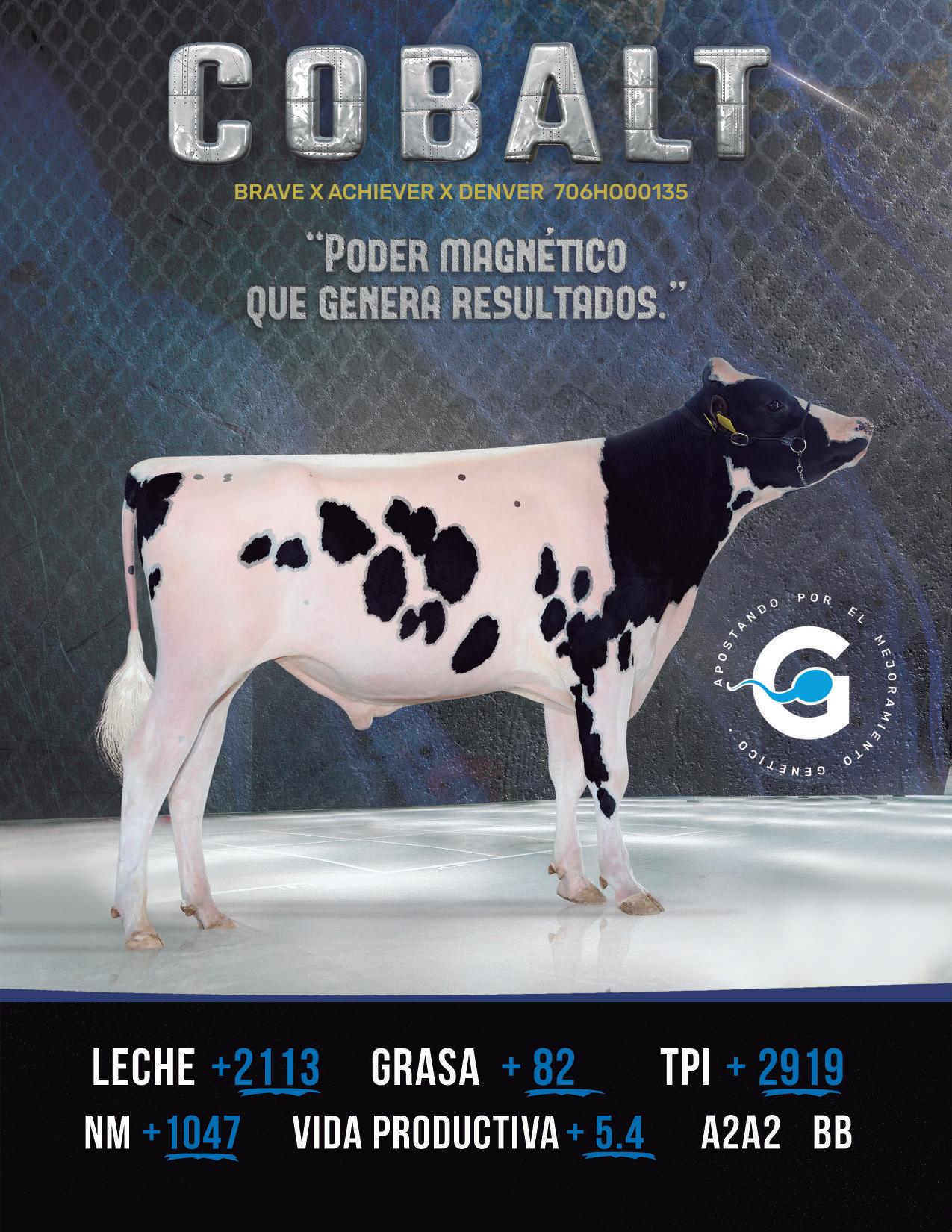 Catálogo Genesis Genetics Agosto 2023 by GenesisGenetic - Issuu