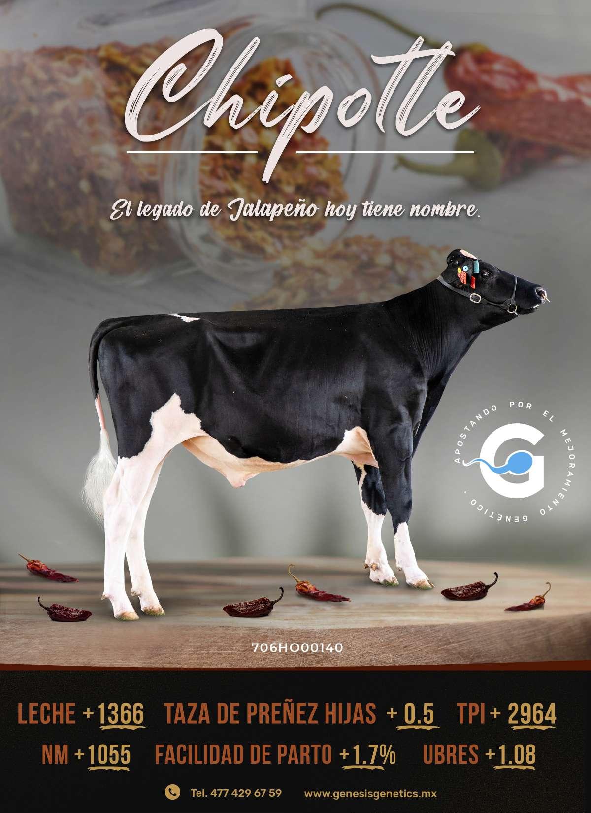 Catálogo Genesis Genetics Agosto 2023 by GenesisGenetic - Issuu