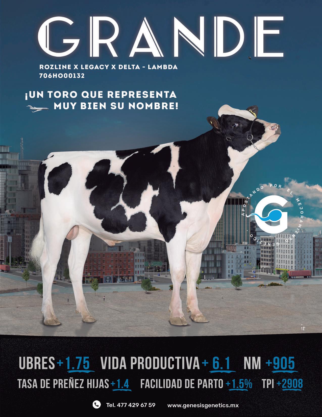 Catálogo Genesis Genetics Agosto 2023 by GenesisGenetic - Issuu