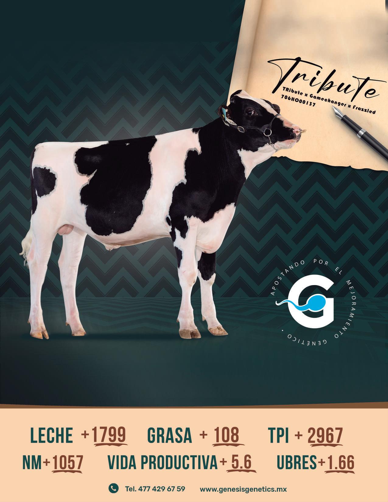 Catálogo Genesis Genetics Agosto 2023 by GenesisGenetic - Issuu
