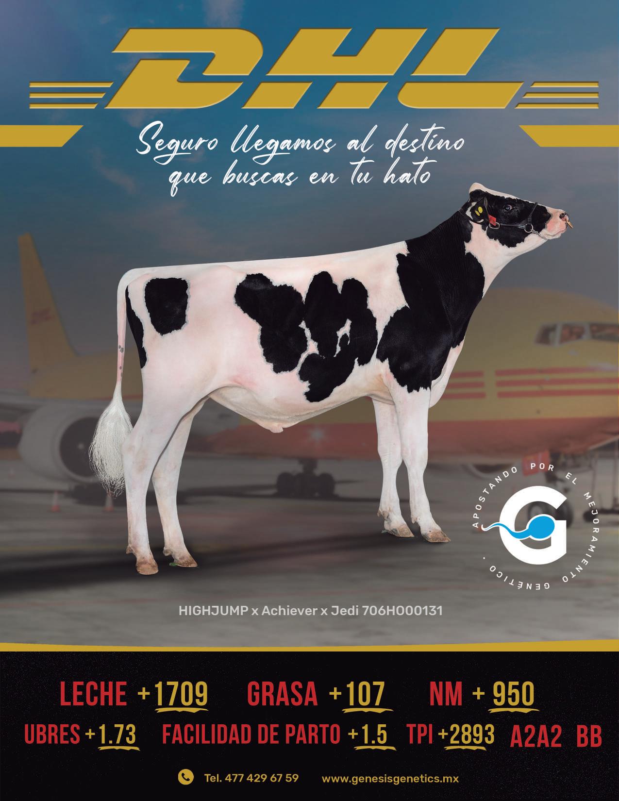 Catálogo Genesis Genetics Agosto 2023 by GenesisGenetic - Issuu