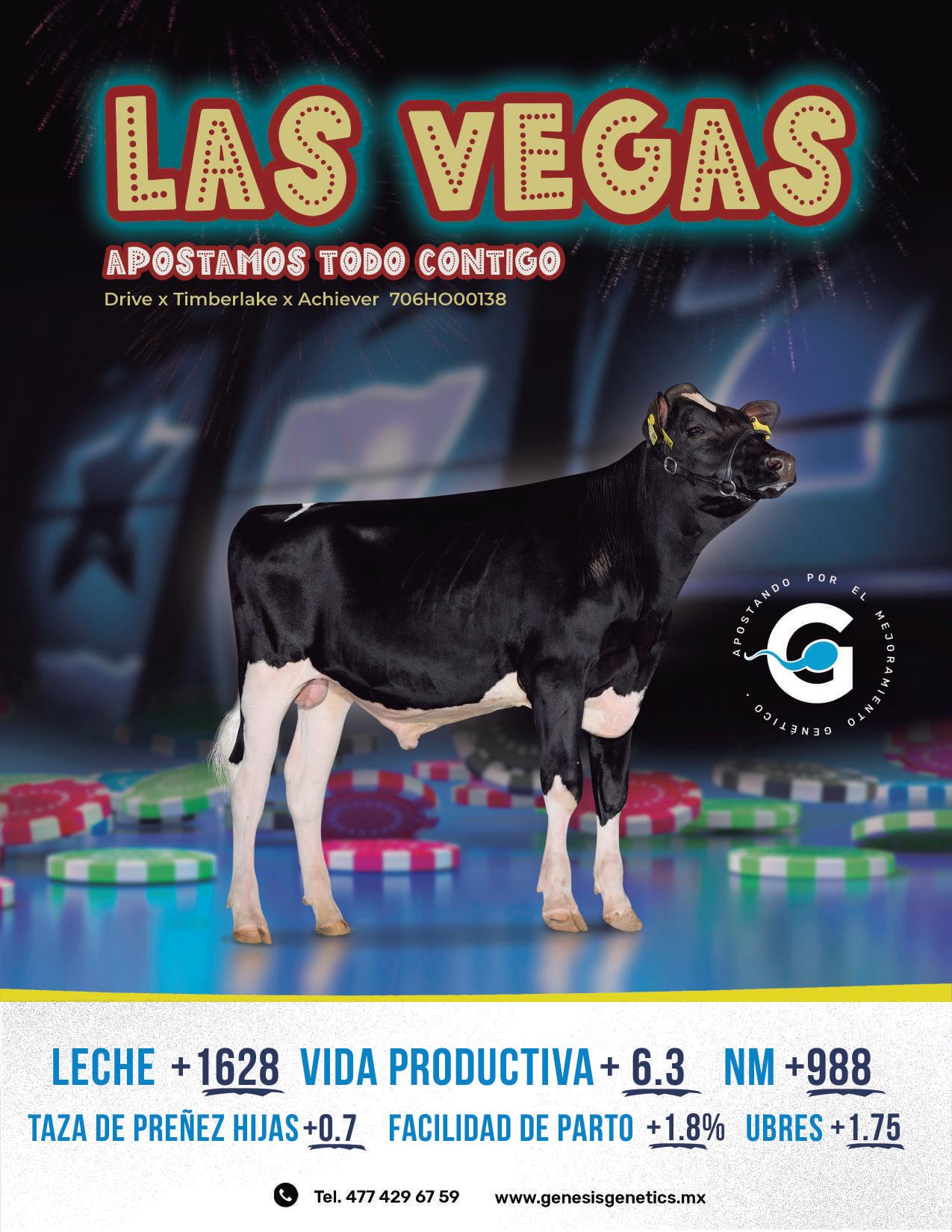 Catálogo Genesis Genetics Agosto 2023 by GenesisGenetic - Issuu