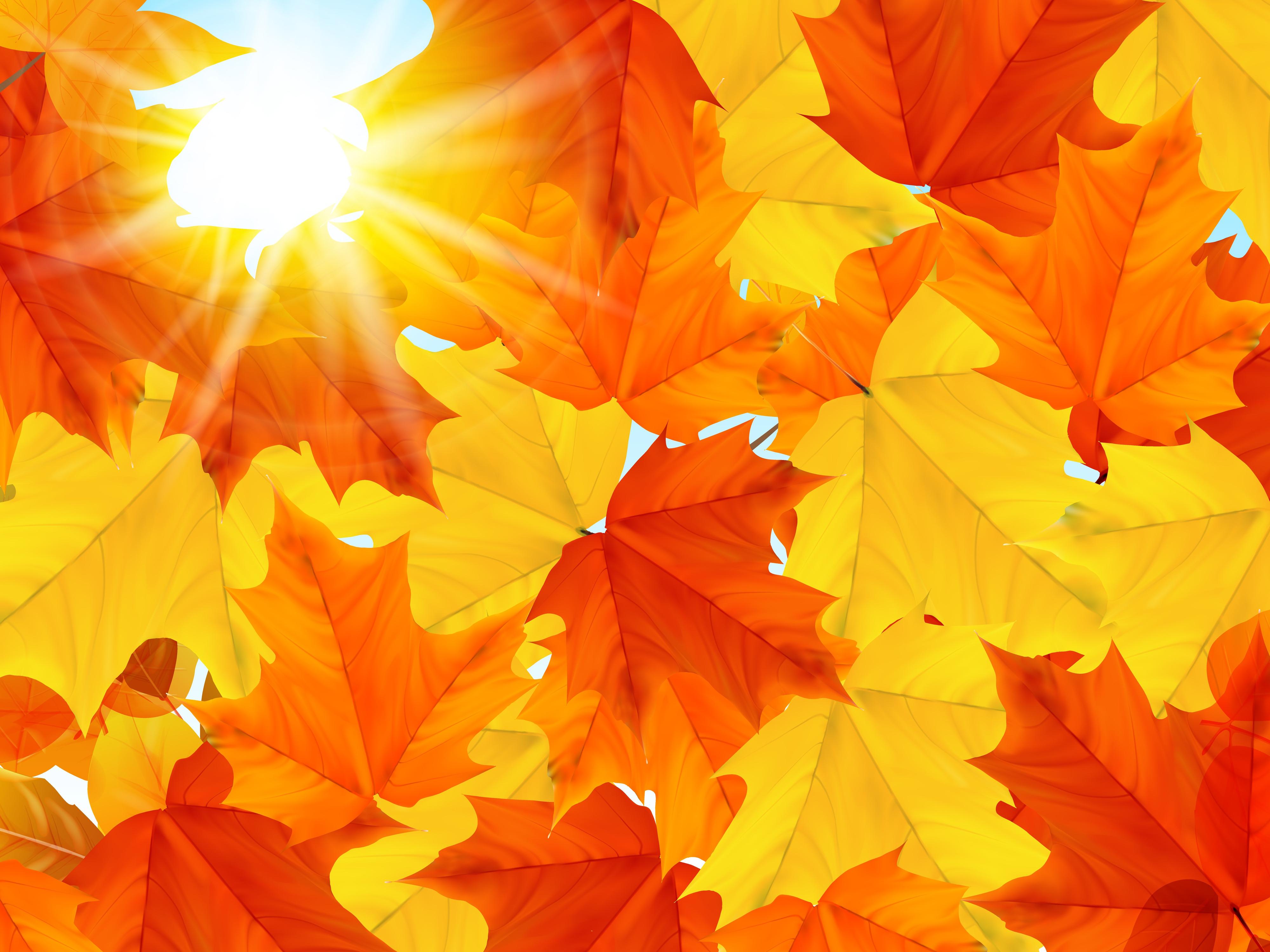 REC CAMP AFTER SCHOOL PROGRAM - Issuu