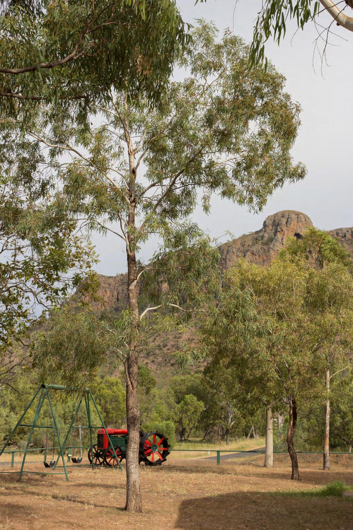 CHRC Operational Plan 2023-2024 by Central Highlands Regional Council ...